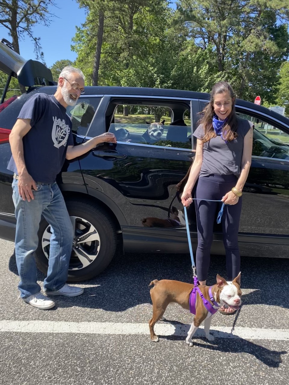 Home - Southampton Animal Shelter Foundation