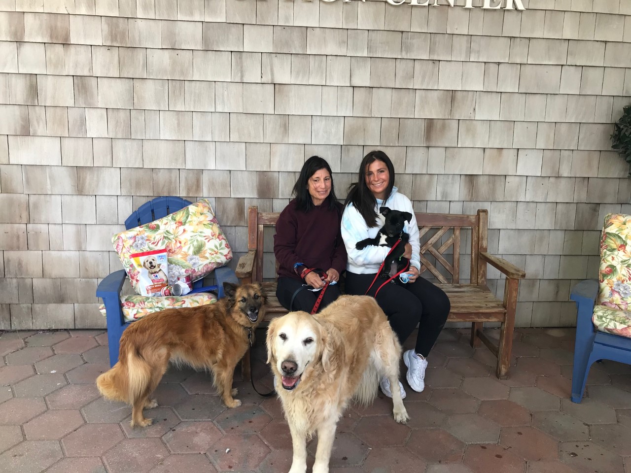 Home - Southampton Animal Shelter Foundation