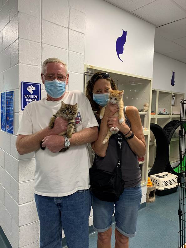 Home - Southampton Animal Shelter Foundation