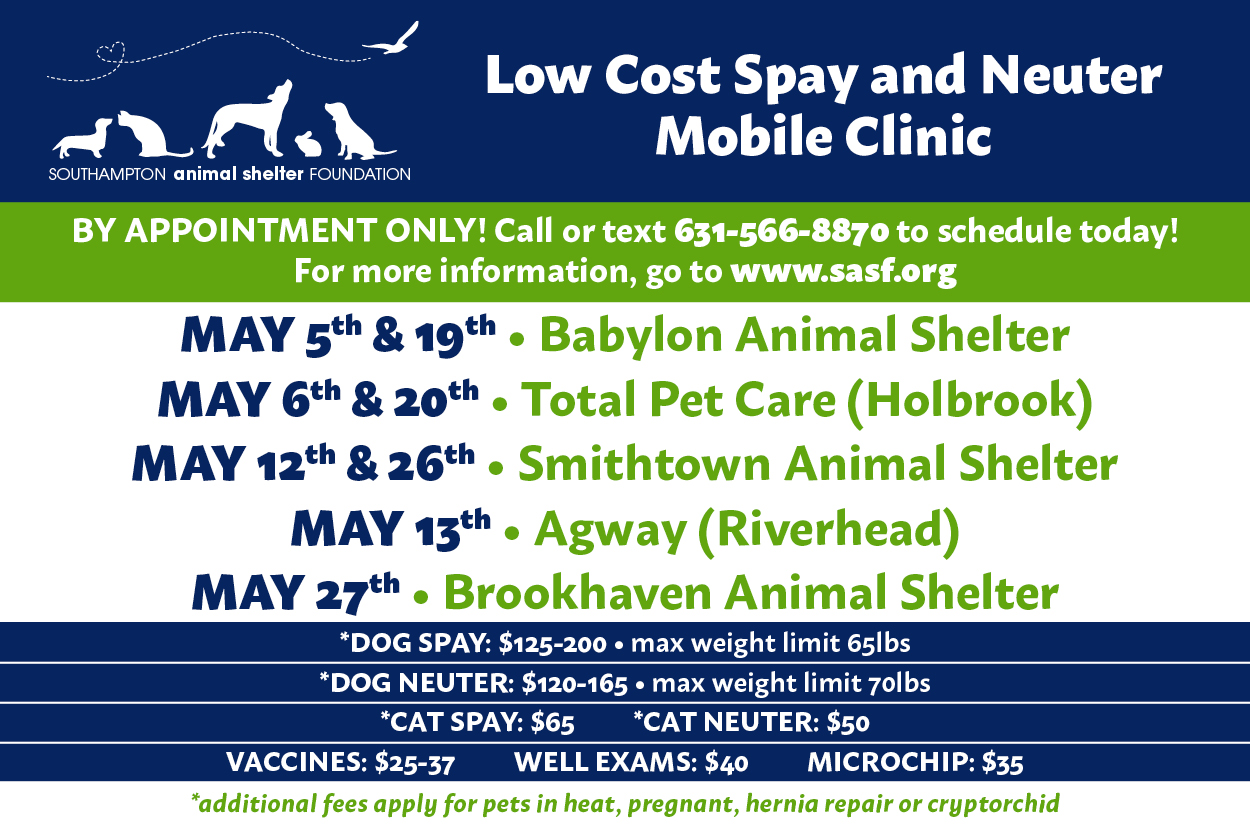 Home - Southampton Animal Shelter Foundation